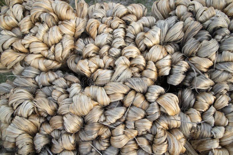 Thick Brown Bundle of Raw Jute Fiber Texture Background Stock Image ...