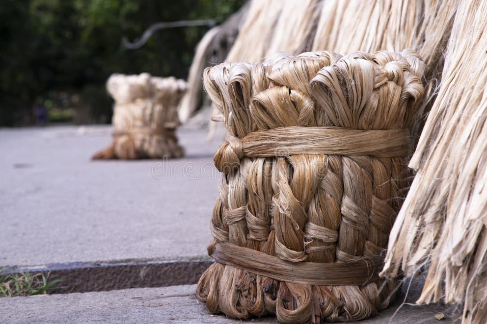 A Thick Brown Bundle of Raw Jute Has on the Ground Stock Photo - Image ...