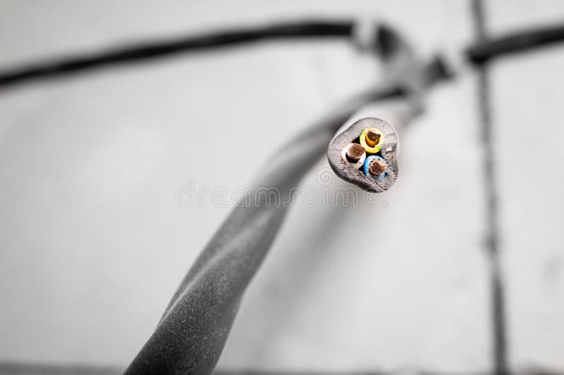 Thick Copper Three-core Cable in a Black Braid Close-up on a Blurred ...