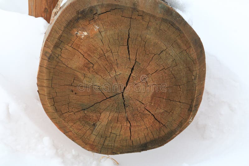 A Thick, Cracked Log in the Snow Stock Photo - Image of surface ...