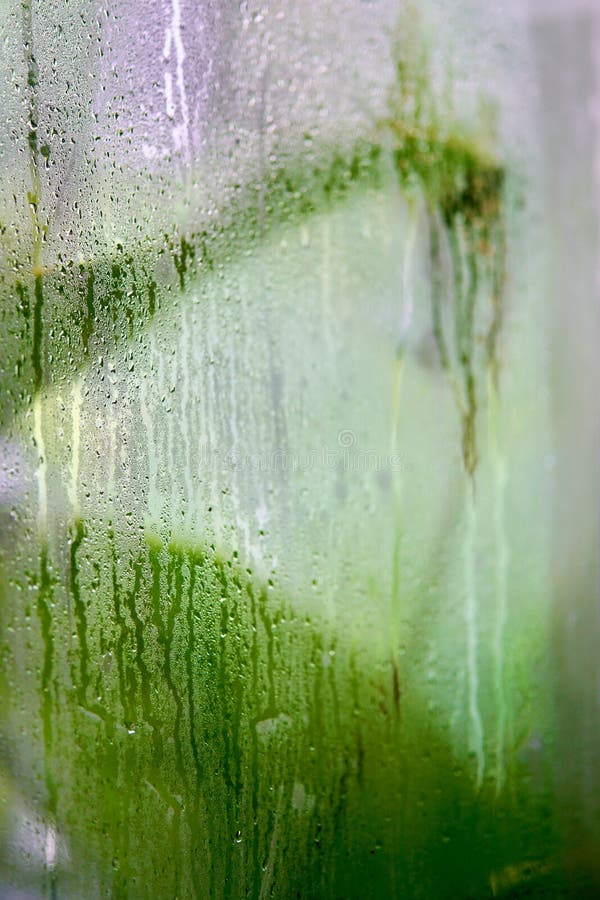 Thick Dew on the Window Glass with Green Leaves on the Other Side Stock ...