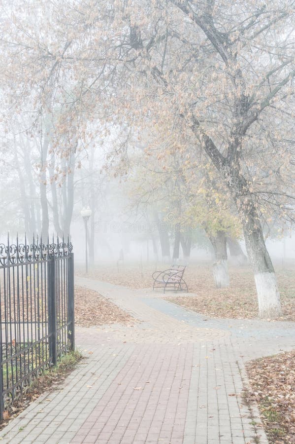 Thick Fog in Empty Autumn Park with Paved Path and Bare Trees Stock ...