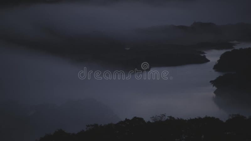 Thick Fog through Forest and River Stock Video - Video of gradient ...