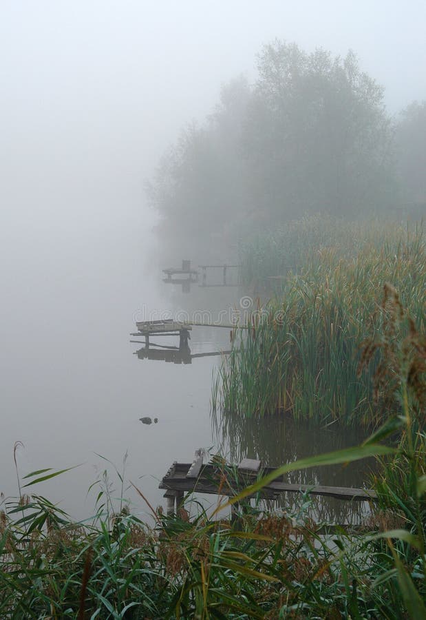 Thick fog over the lake stock photo. Image of lake, swamp - 85419458