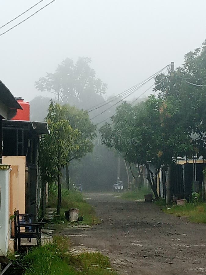 Thick Foggy Morning stock image. Image of house, morning - 267643155