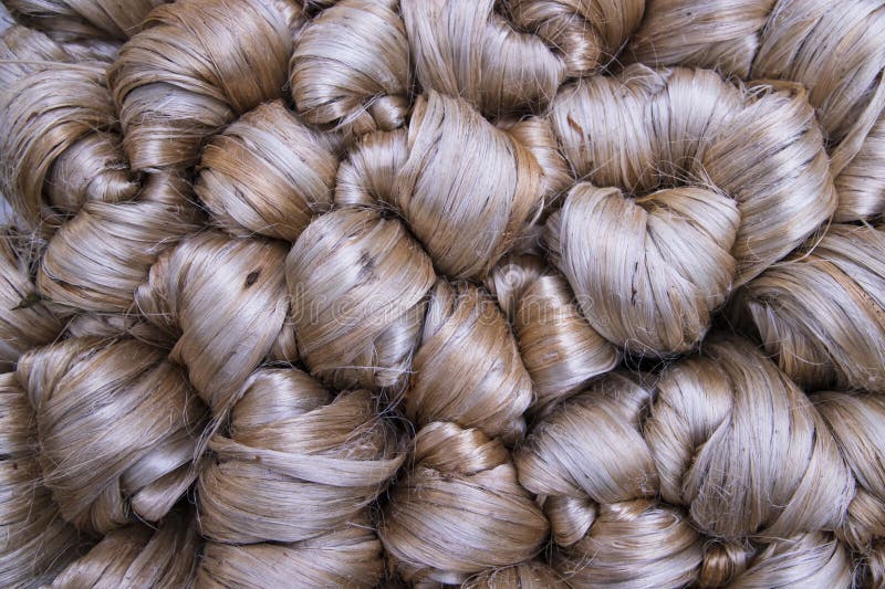 Thick Golden Bundle of Raw Jute Fiber Pattern Texture Can Be Used As a ...