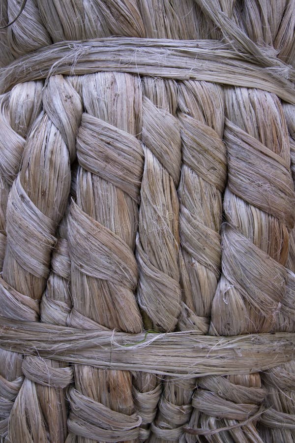 Thick Golden Bundle of Raw Jute Fiber Pattern Texture Can Be Used As a ...
