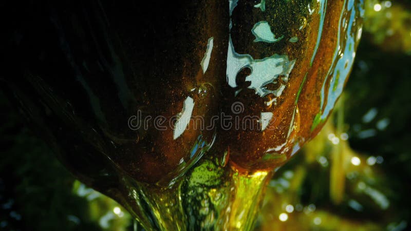 Strange Alien Organism Dripping Slime in Frozen Environment Stock Video ...