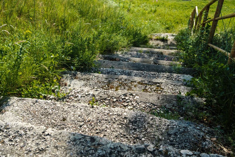 In the Thick Grass Old Ruined Dangerous Steps Stock Photo - Image of ...