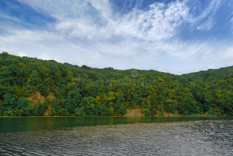Thick, Green Forest on a Rocky River Bank. Stock Photo - Image of coast ...