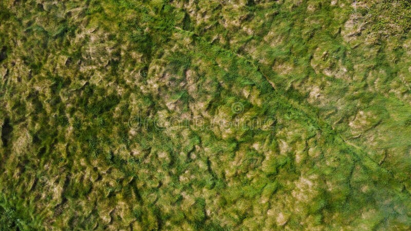 Thick Green Grass on a Hill Near the Sea Bay. Cloudy Sky Over ...