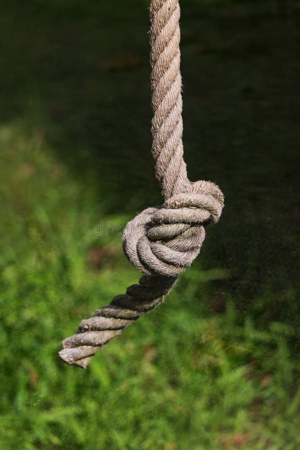Thick Hanging Rope with Knot Stock Photo - Image of grass, fabric ...