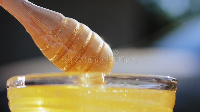 Extraction of Honey from Honeycombs of Nesting Frames in a Honey ... Extraction of Honey from Honeycombs of Nesting Frames in a Honey ...