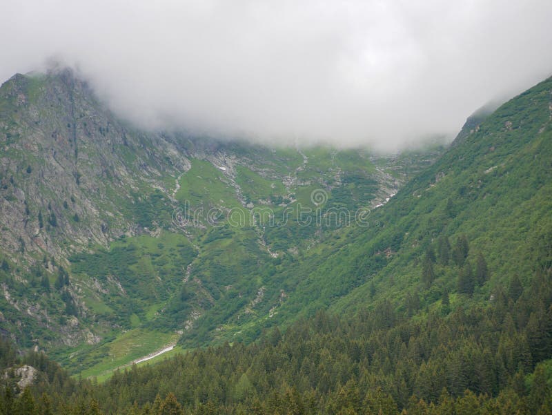 Thick Layer of Fog Above Lush Green Mountain Forests and Valleys Stock ...