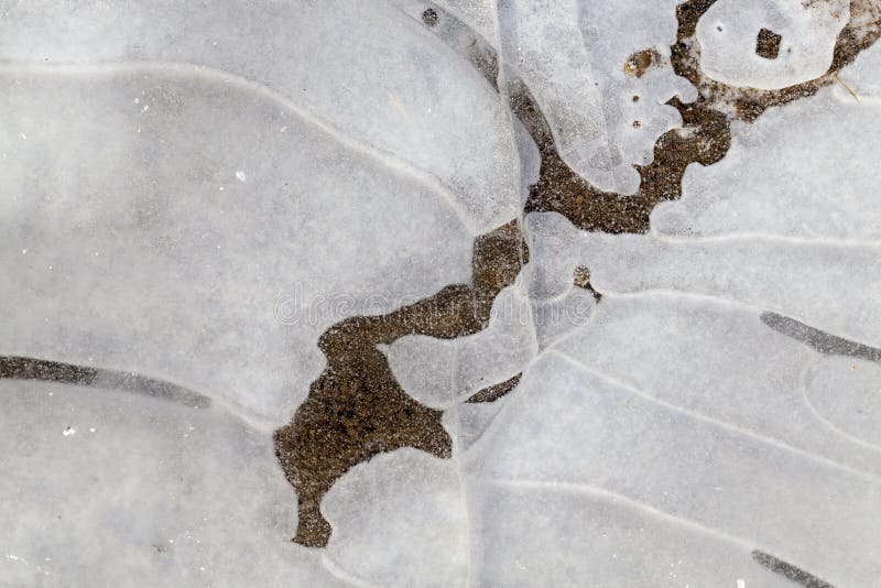 A Thick Layer of Ice Formed on the Territory of the Field Stock Photo ...