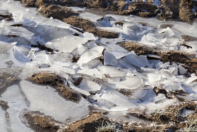 A Thick Layer of Ice Formed on the Territory of the Field Stock Image ...