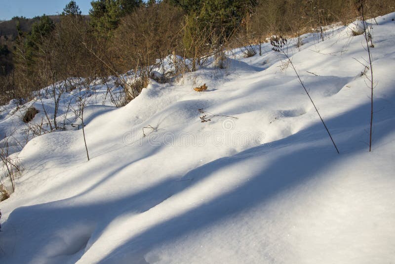 Thick Layer of Snow in the Mountain. Dry Up Plants Stock Photo - Image ...