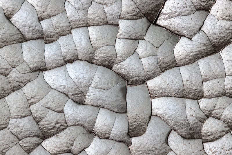 150 Swollen Paint Stock Photos - Free & Royalty-Free Stock Photos from ...