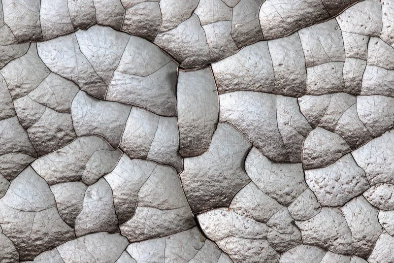 150 Swollen Paint Stock Photos - Free & Royalty-Free Stock Photos from ...