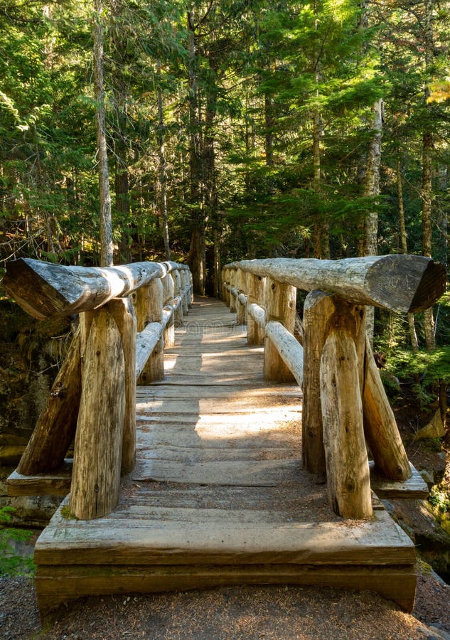 Thick Log Bridge Over Gorge Stock Image - Image of national, large ...