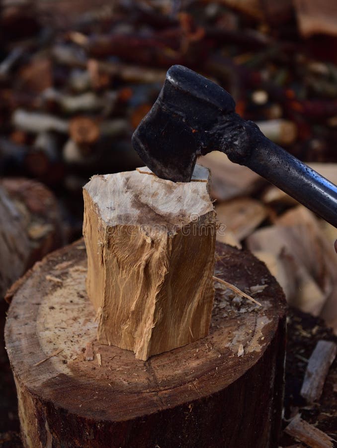 A Thick Log of Wood Being Chopped for Firewood Stock Photo - Image of ...