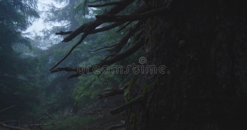 1,019 Stranger Things Photos - Free & Royalty-Free Stock Photos from ...