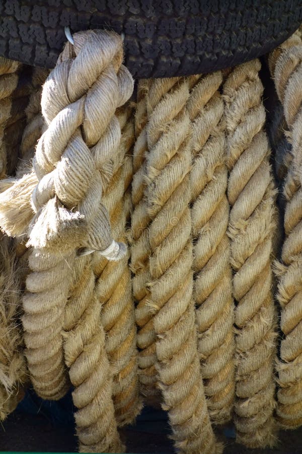 Thick and Rigid Rope of Equipment Stock Image - Image of pattern, ropes ...