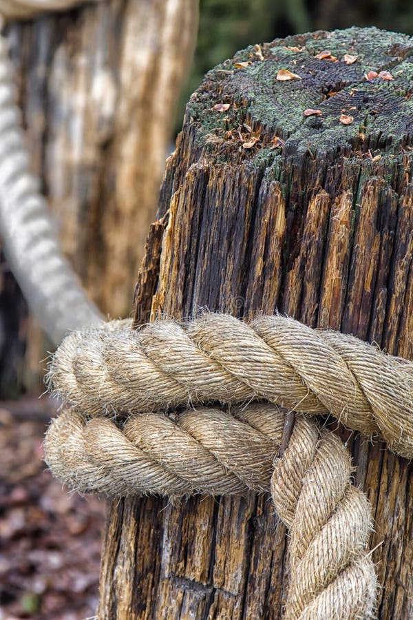 Thick rope post stock photo. Image of water, entwined - 24044312