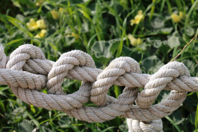 Thick rope with many knots stock image. Image of cape - 111206981