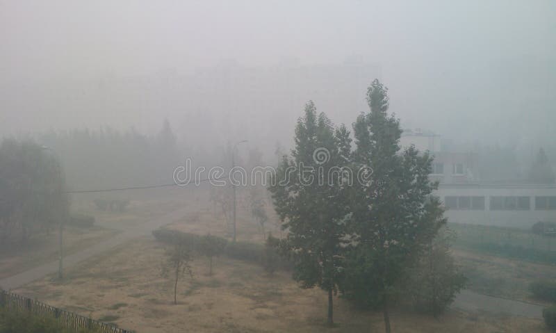 Thick Smog from Burning Forests Stock Photo - Image of disaster, dirty ...