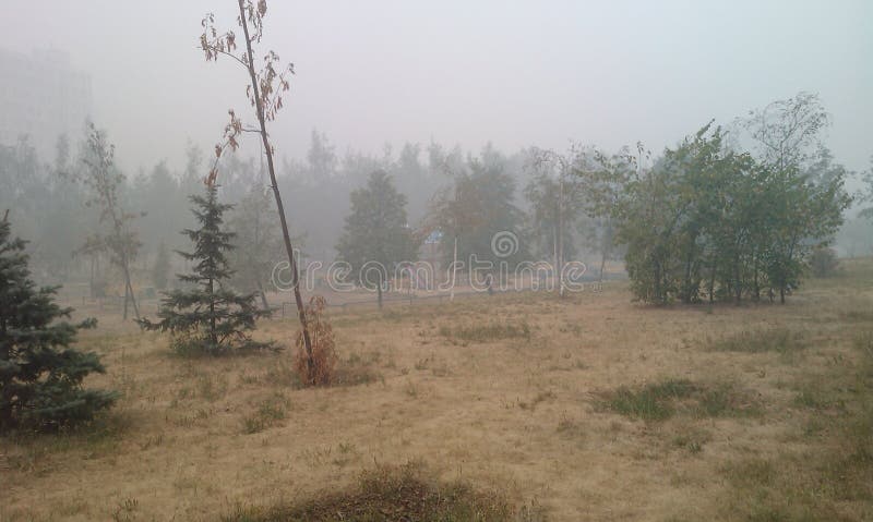 Thick Smog from Burning Forests Stock Photo - Image of fumes, mist ...