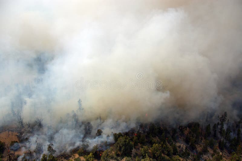 Thick Smoke stock image. Image of outdoor, burning, woods - 10415285