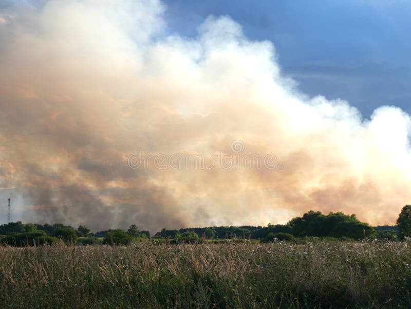 Thick Smoke from a Summer Fire Rises into the Blue Sky. Summer ...
