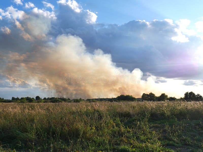 Thick Smoke from a Summer Fire Rises into the Blue Sky. Summer ...