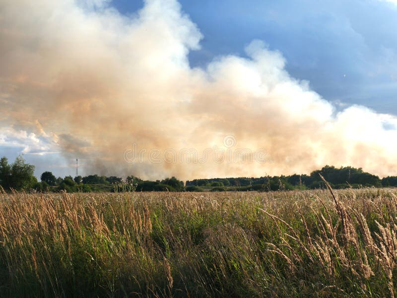 Thick Smoke from a Summer Fire Rises into the Blue Sky. Summer ...