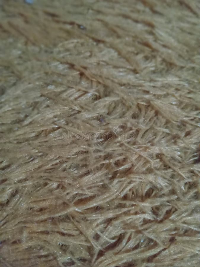 Thick and soft feather bed stock image. Image of soft - 267735391