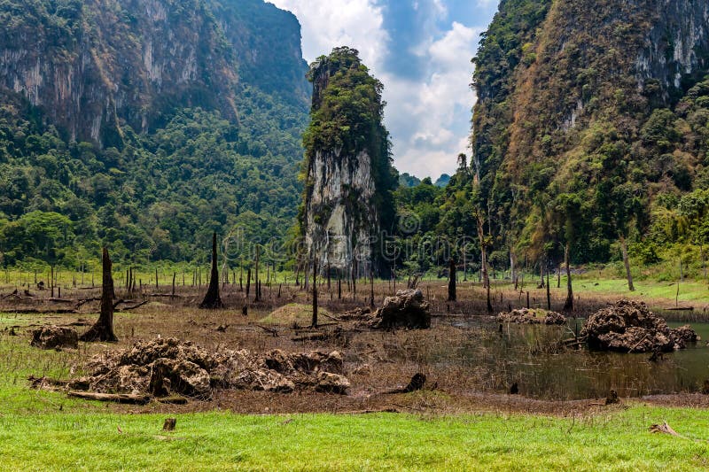 Thick Tropical Jungle and Towering Limestone Cliffs in Khao Sok ...