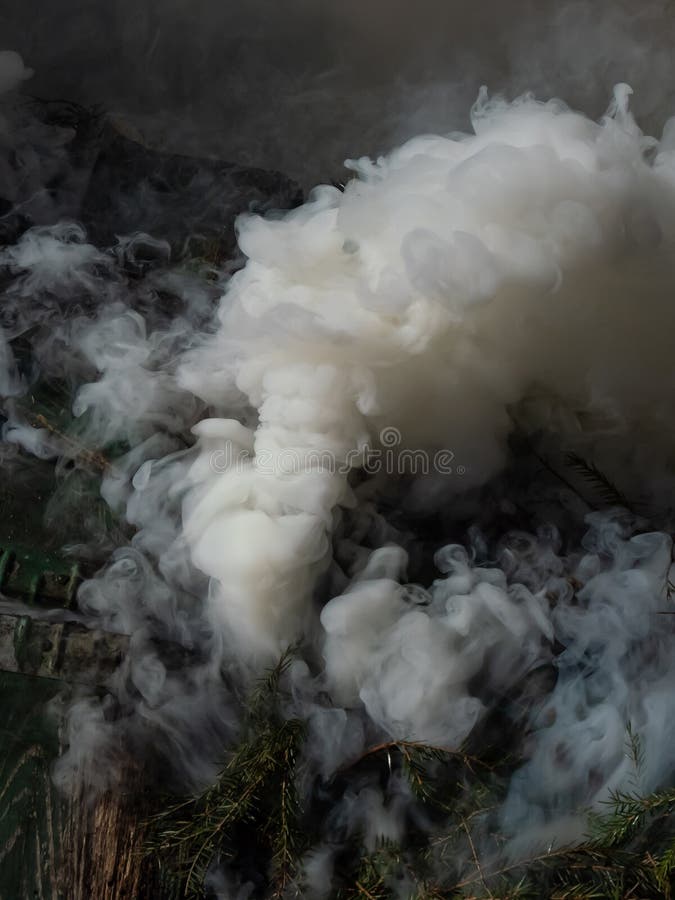 Thick, White Smoke from Burning Wet Branches and Grass Stock Image ...
