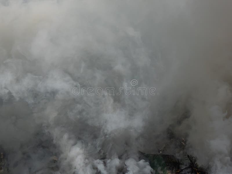 Thick, White Smoke from Burning Wet Branches and Grass Stock Image ...