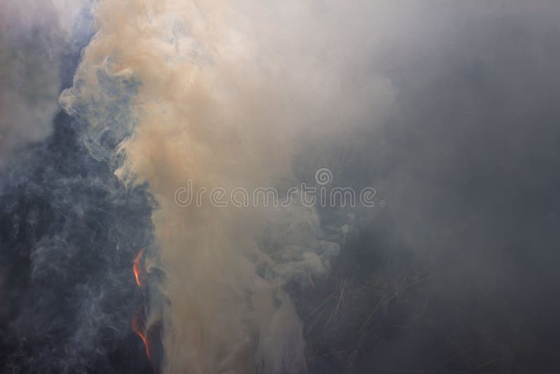Thick Yellow Smoke a Smouldering Fire Stock Photo - Image of orange ...