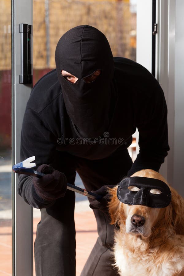 Thief Stealing His Accomplice Stock Photo - Image of bandit, burglar ...