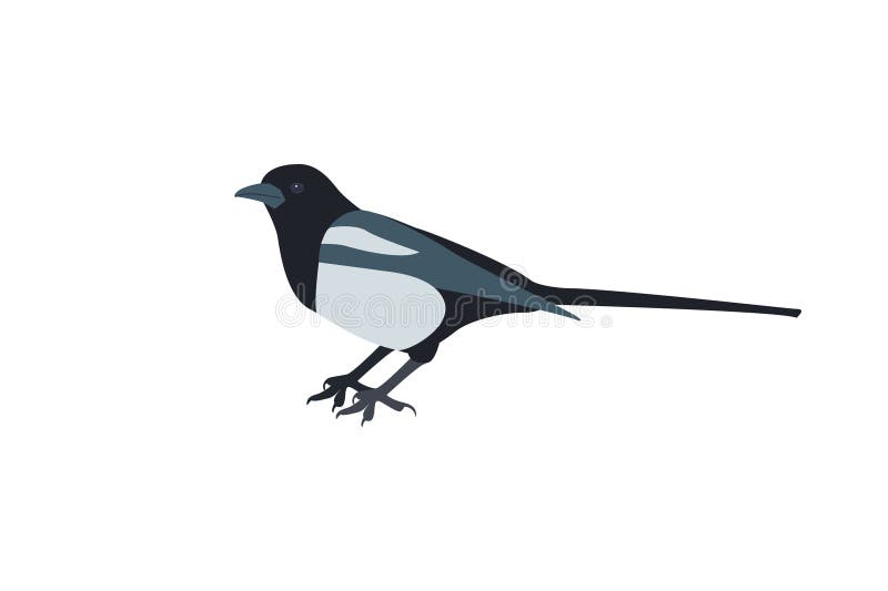 Magpie Vector Stock Illustrations – 1,779 Magpie Vector Stock ...