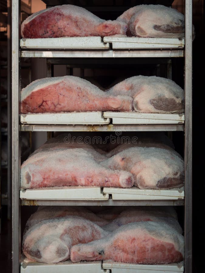 Raw Ham during the Salting Process Inside a Refrigeration Cell. Stock ...
