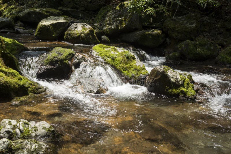 Thin brook flowing stock photo. Image of sight, creek - 125400678