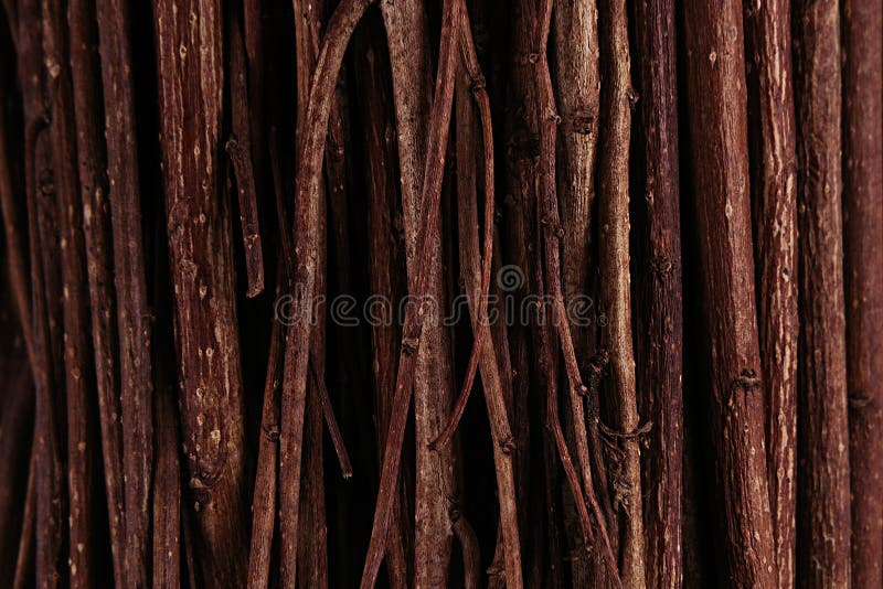Thin Brown Dark Wooden Branches Top View, Wood Stock Image - Image of ...