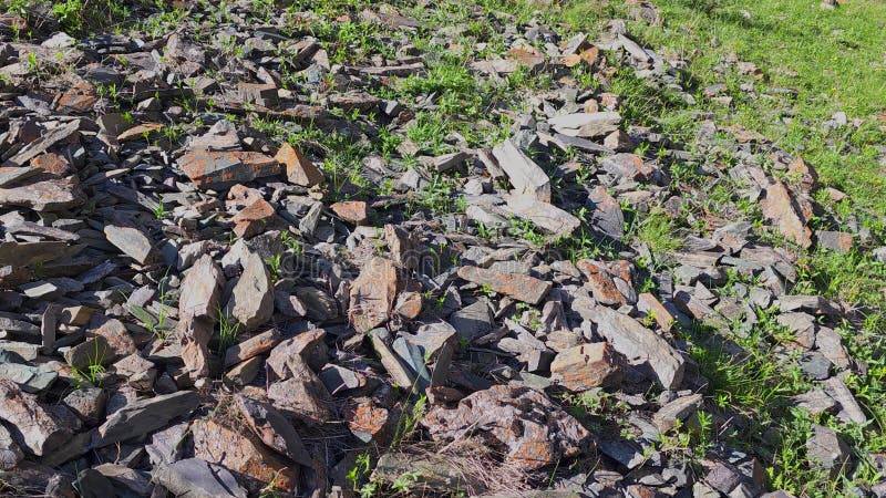 Grass between Sharp Rocks at Sunny Windy Day in Mountains Stock Video ...