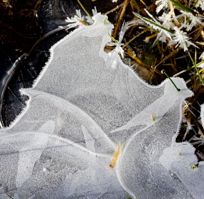 Thin Ice Forms Designs of Curves and Triangles in Nature in Winter ...