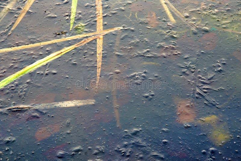 Thin ice on the pond stock photo. Image of water, november - 106226446