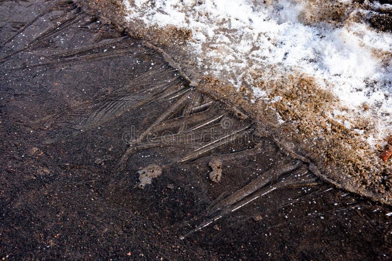 A Thin Dirty Stray Cat, Black and White, Sitting. Madeira, Portugal ...