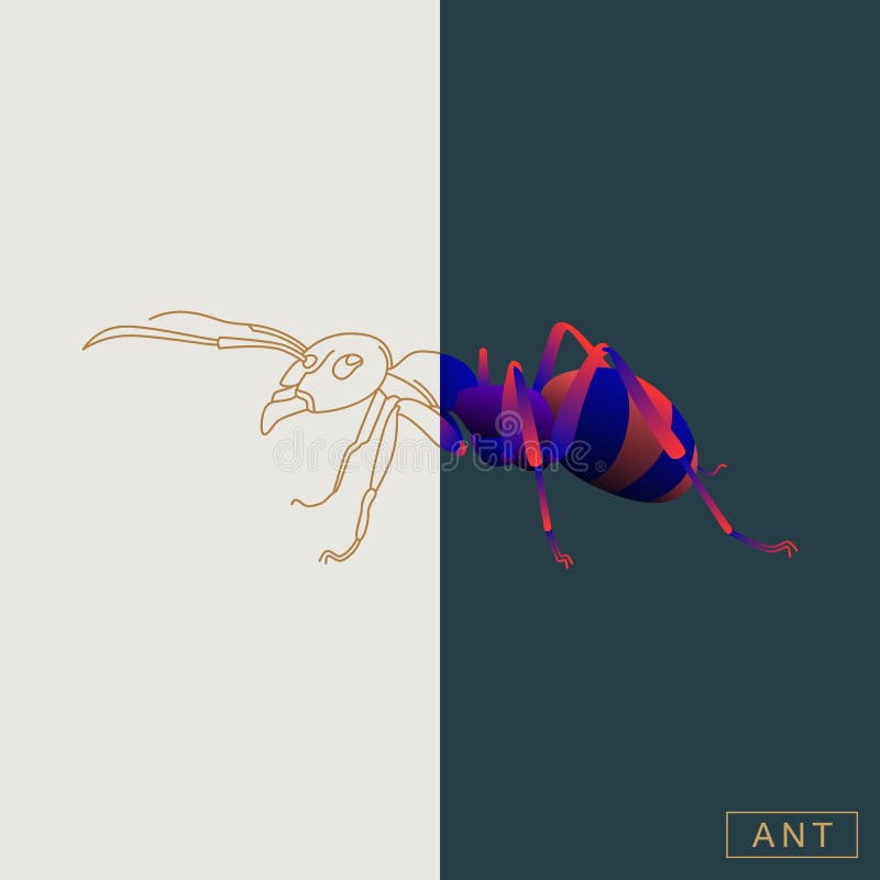 Abstract Insects Illustration Stock Vector - Illustration of insects ...